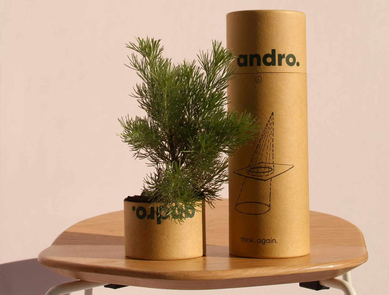 ambience | Architectural Lighting Design, Supply + Lighting Control